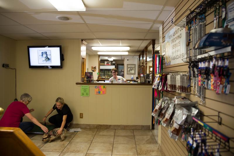 New Clients | Highland Veterinary Clinic