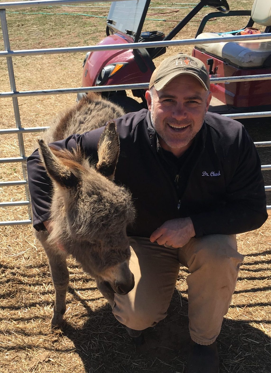 Medicine & Critical Care | Highland Veterinary Clinic
